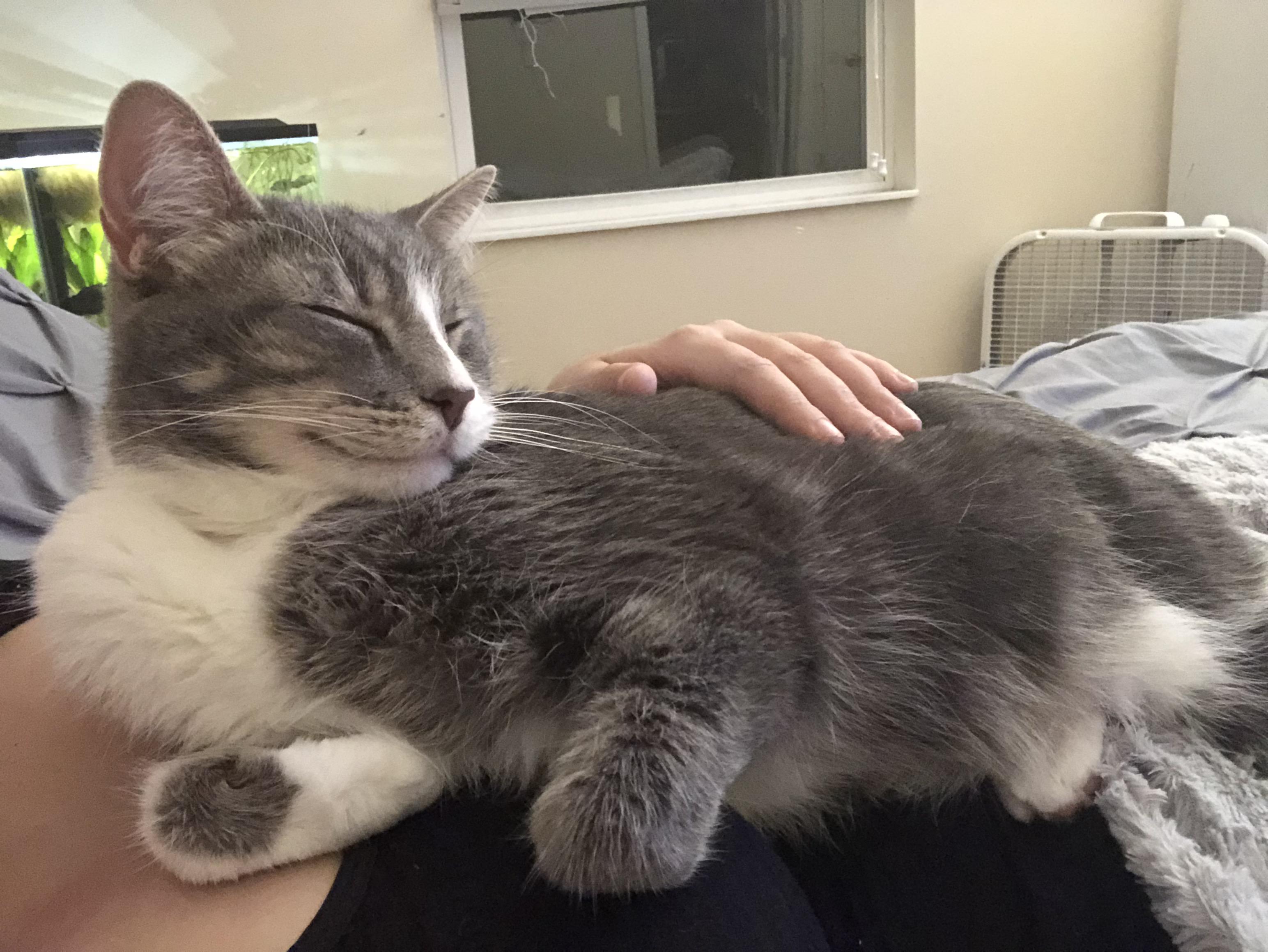 A happy loaf | Scrolller