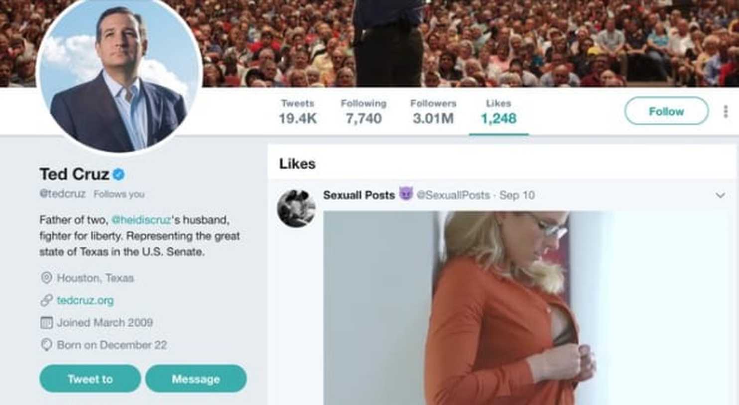 I always liked Ted | Scrolller