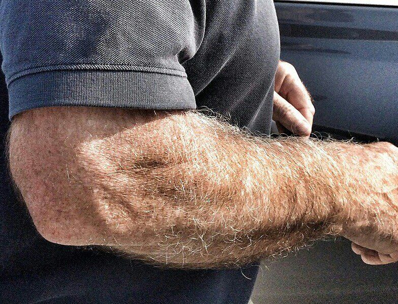 I always love daddies with big hairy arms | Scrolller