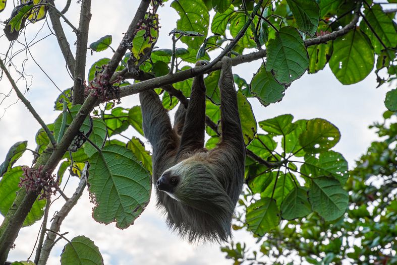 i always love how the swept hair makes it look like they're moving ...
