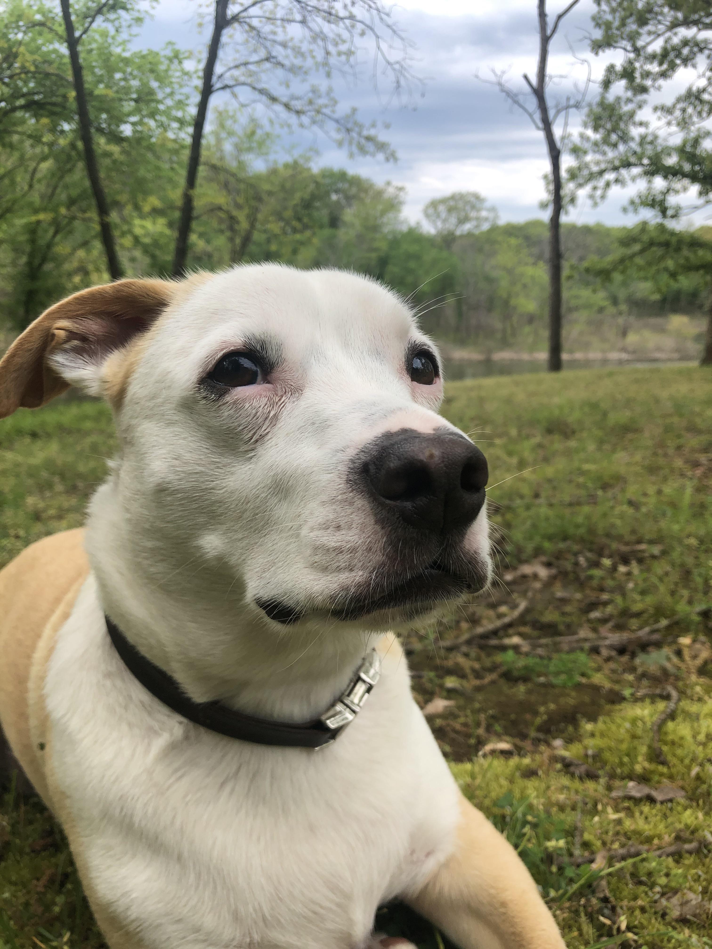 I appreciate all the love my little Nacho gives me! | Scrolller