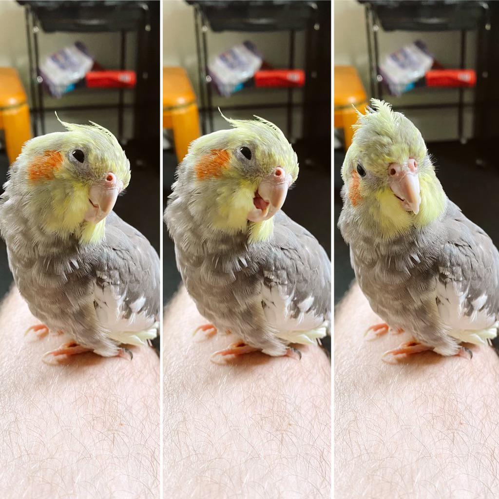 I can only smile, I love his character. | Scrolller