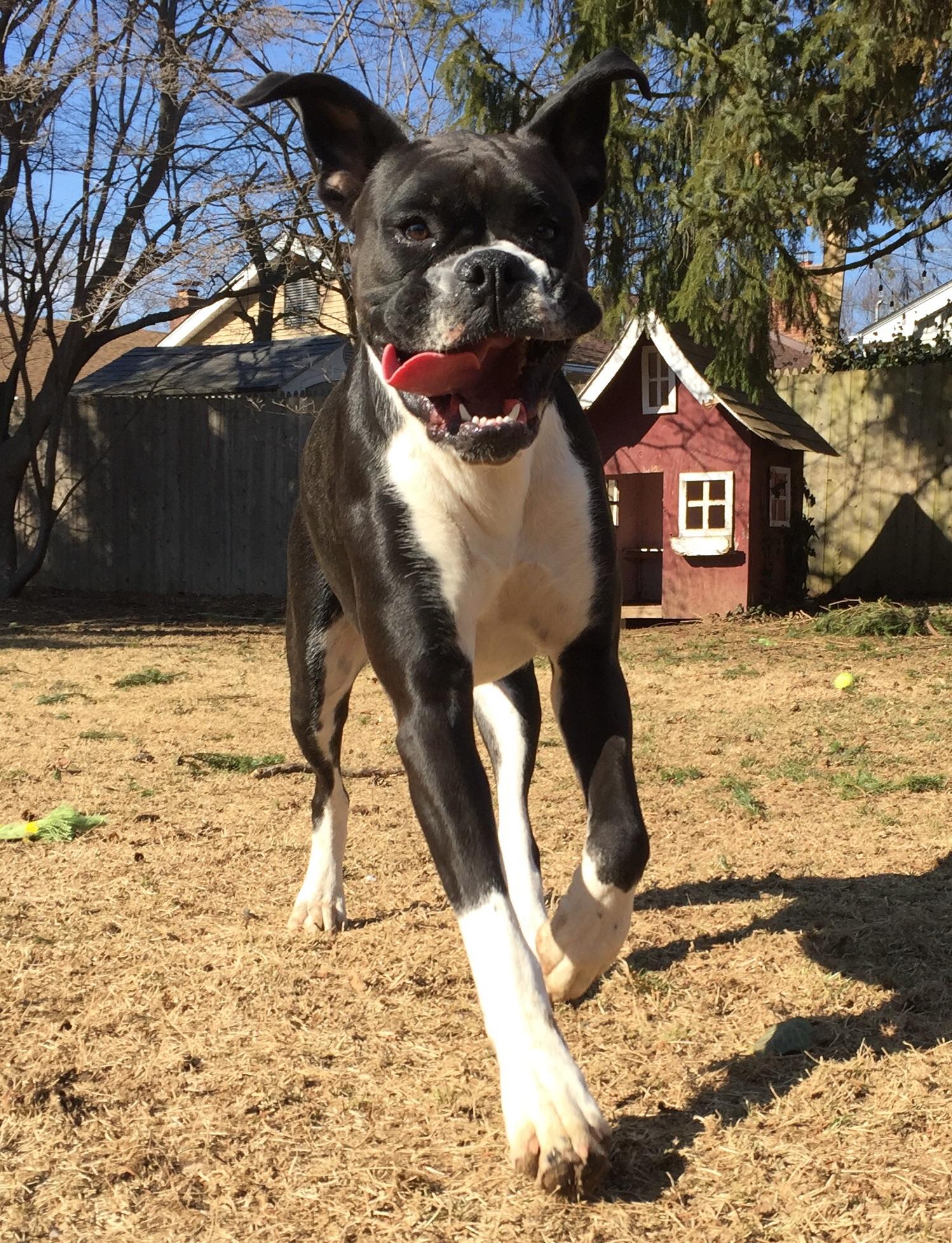 I can taste the wind! | Scrolller