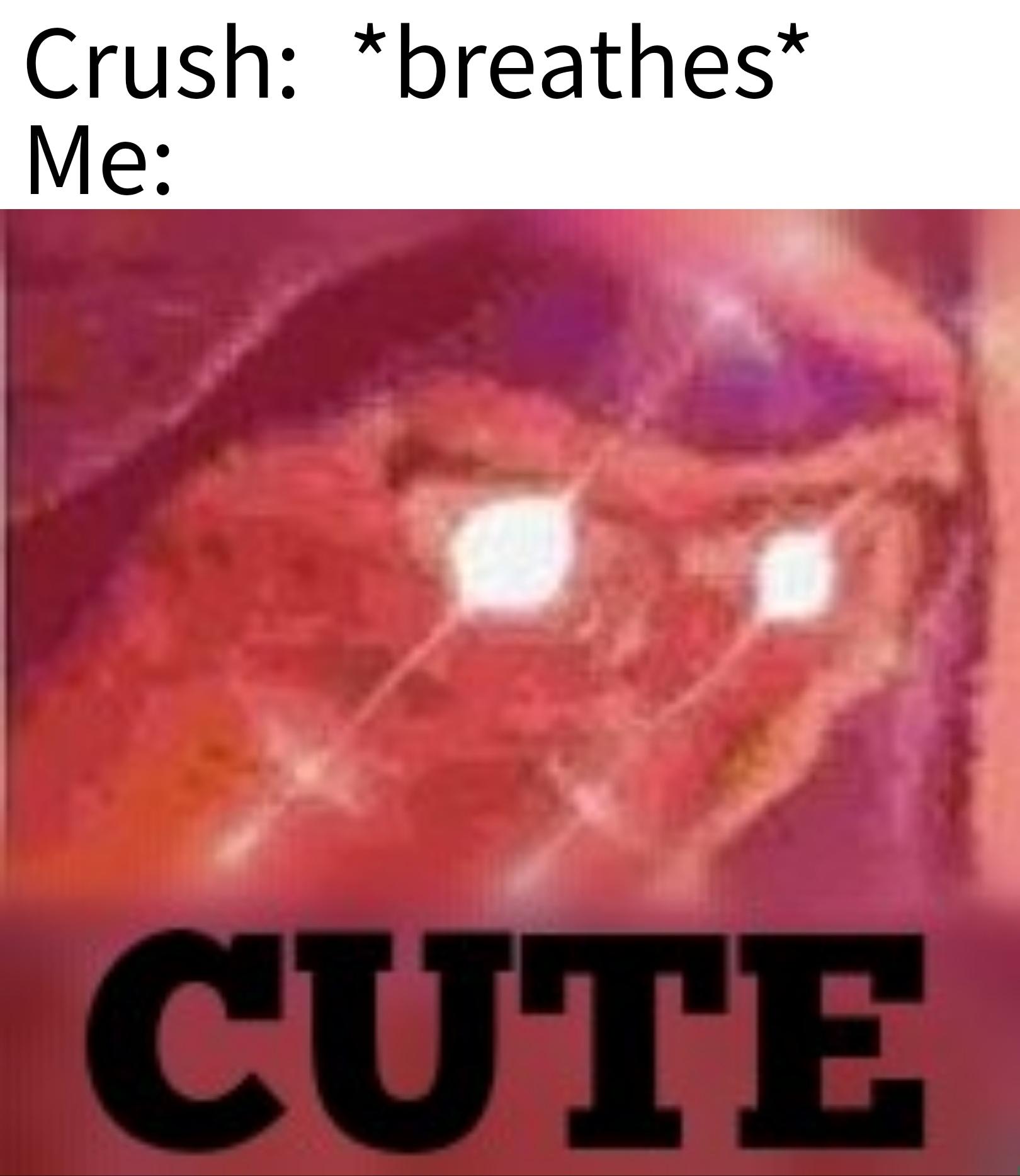 I can't help it... | Scrolller