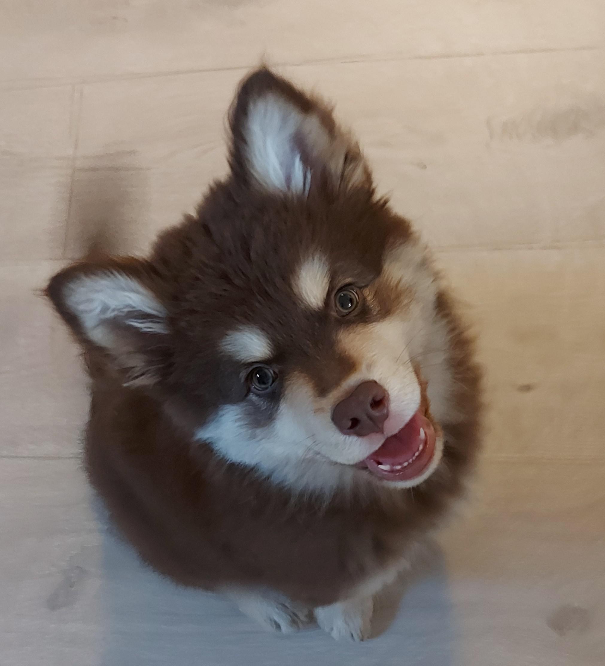 I can't say no to that smile | Scrolller