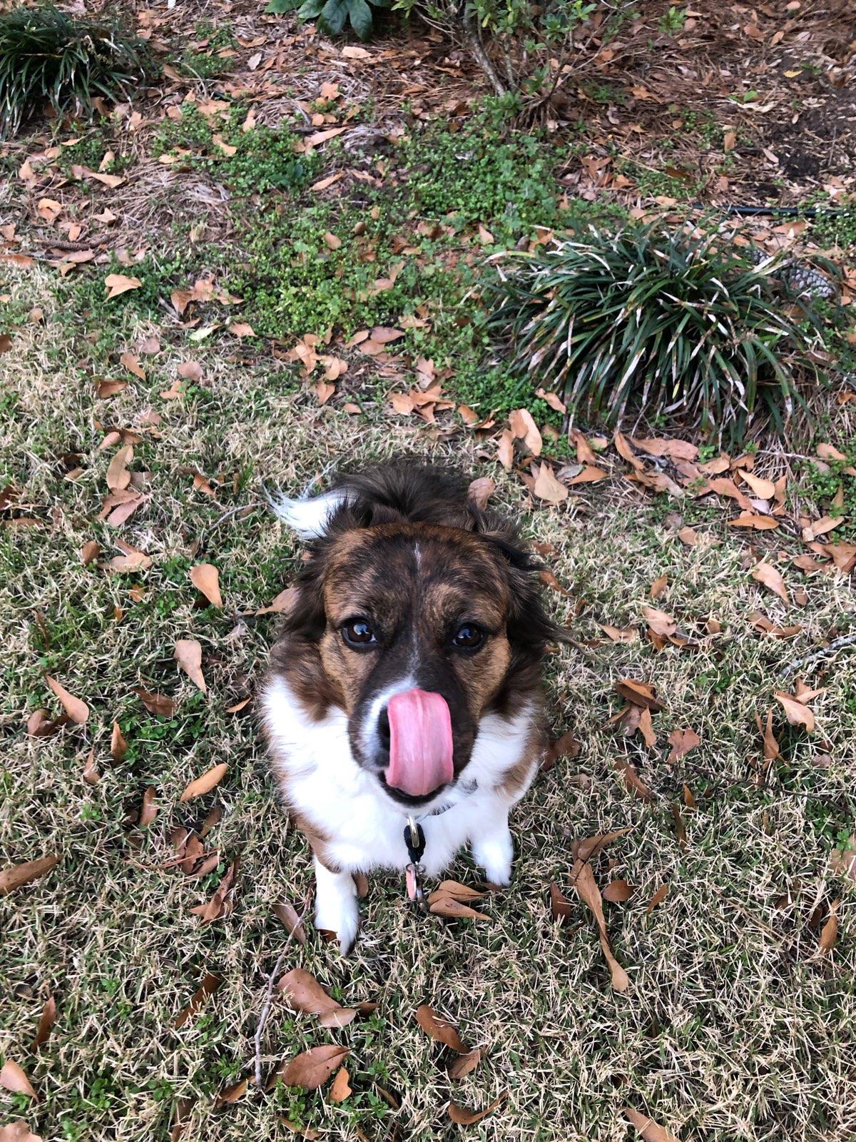 I caught her mid lick! | Scrolller