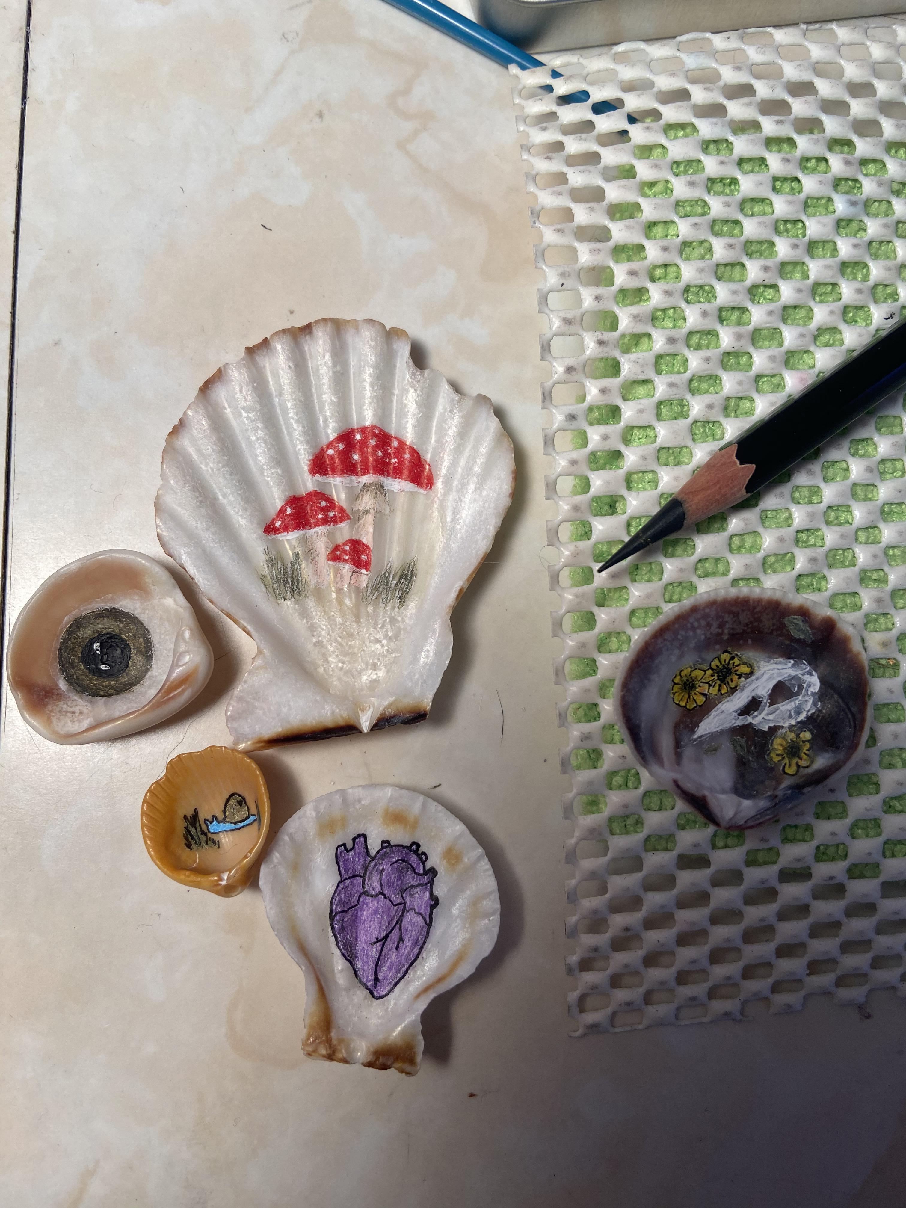 I decided to draw on some of my shells | Scrolller