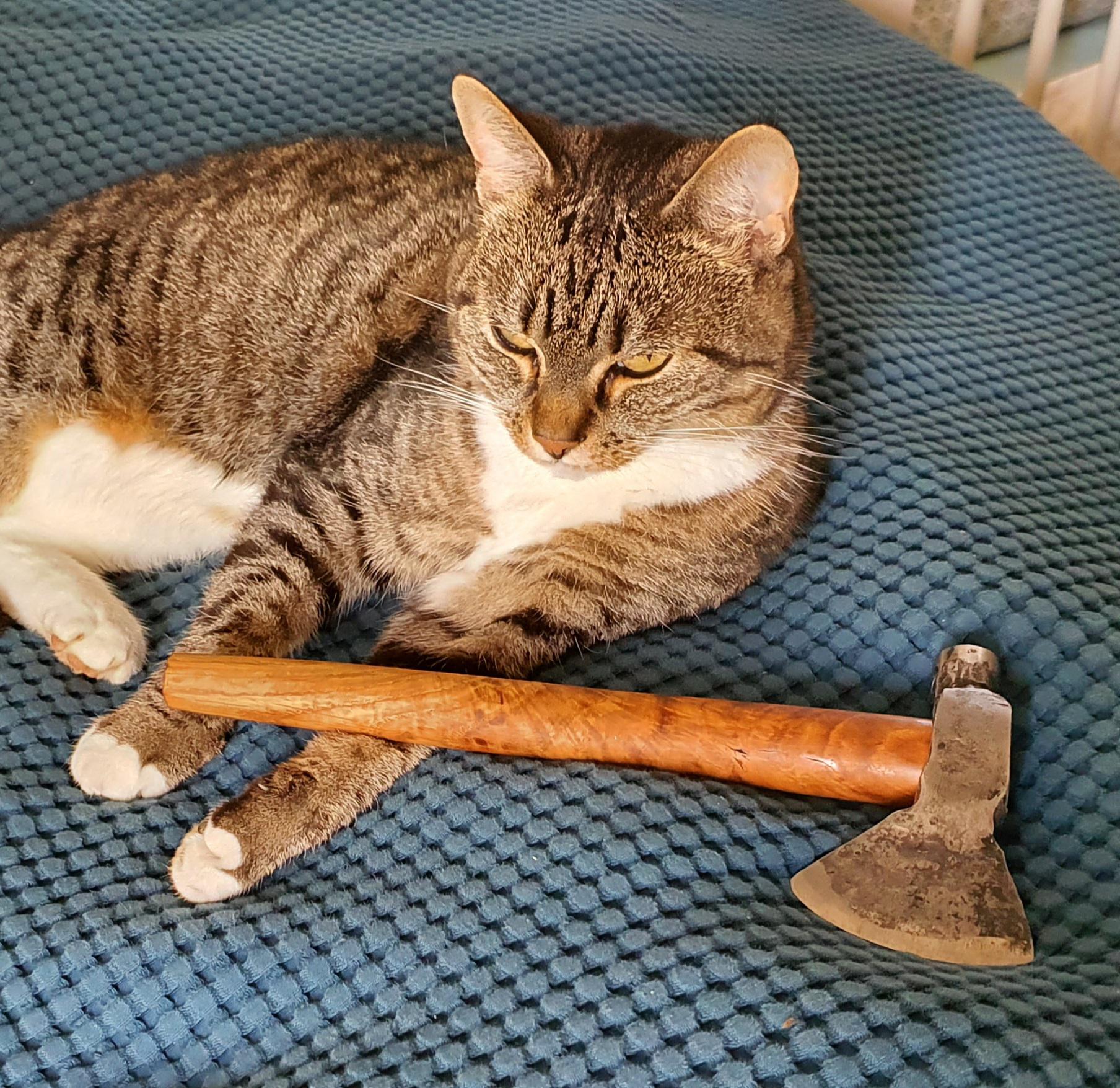 I did a tomahawk | Scrolller