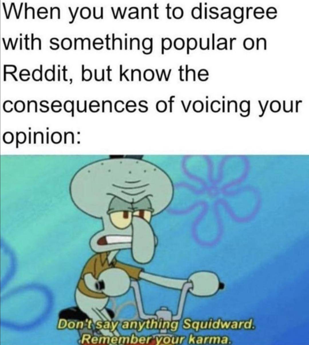 I Disagree With This Meme Scrolller