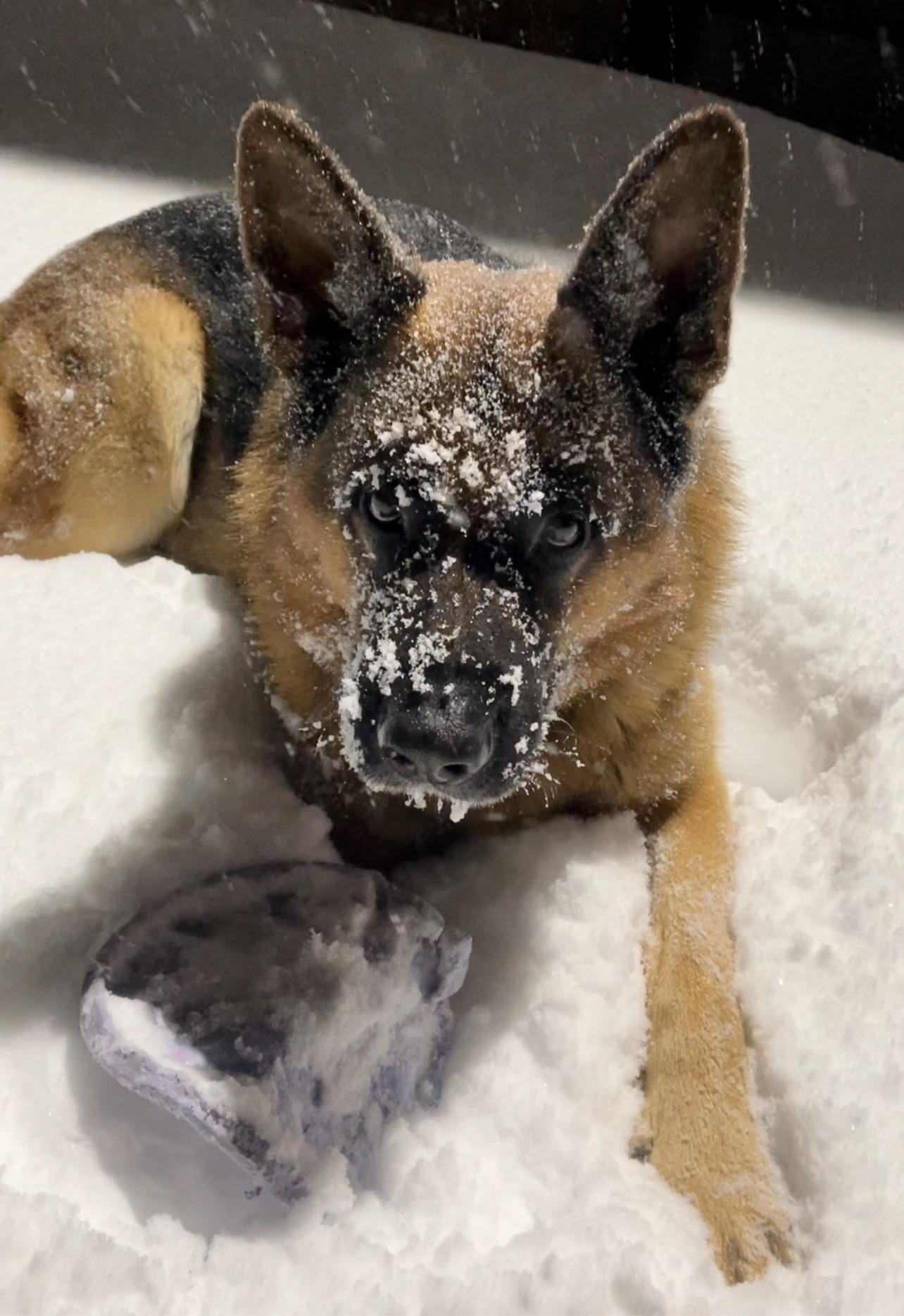 I don’t want go in yet Dad!! | Scrolller