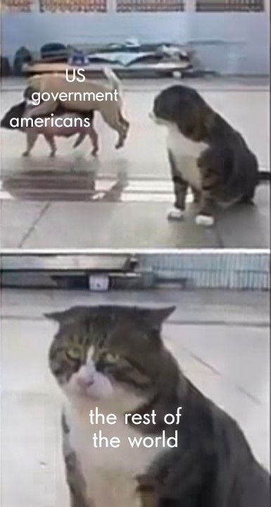 I don't like where this is going | Scrolller