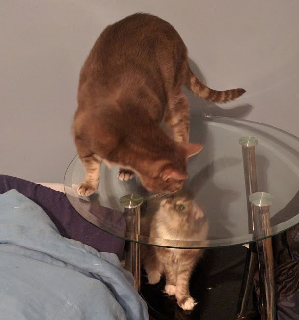 I feel like they're doing it wrong... | Scrolller