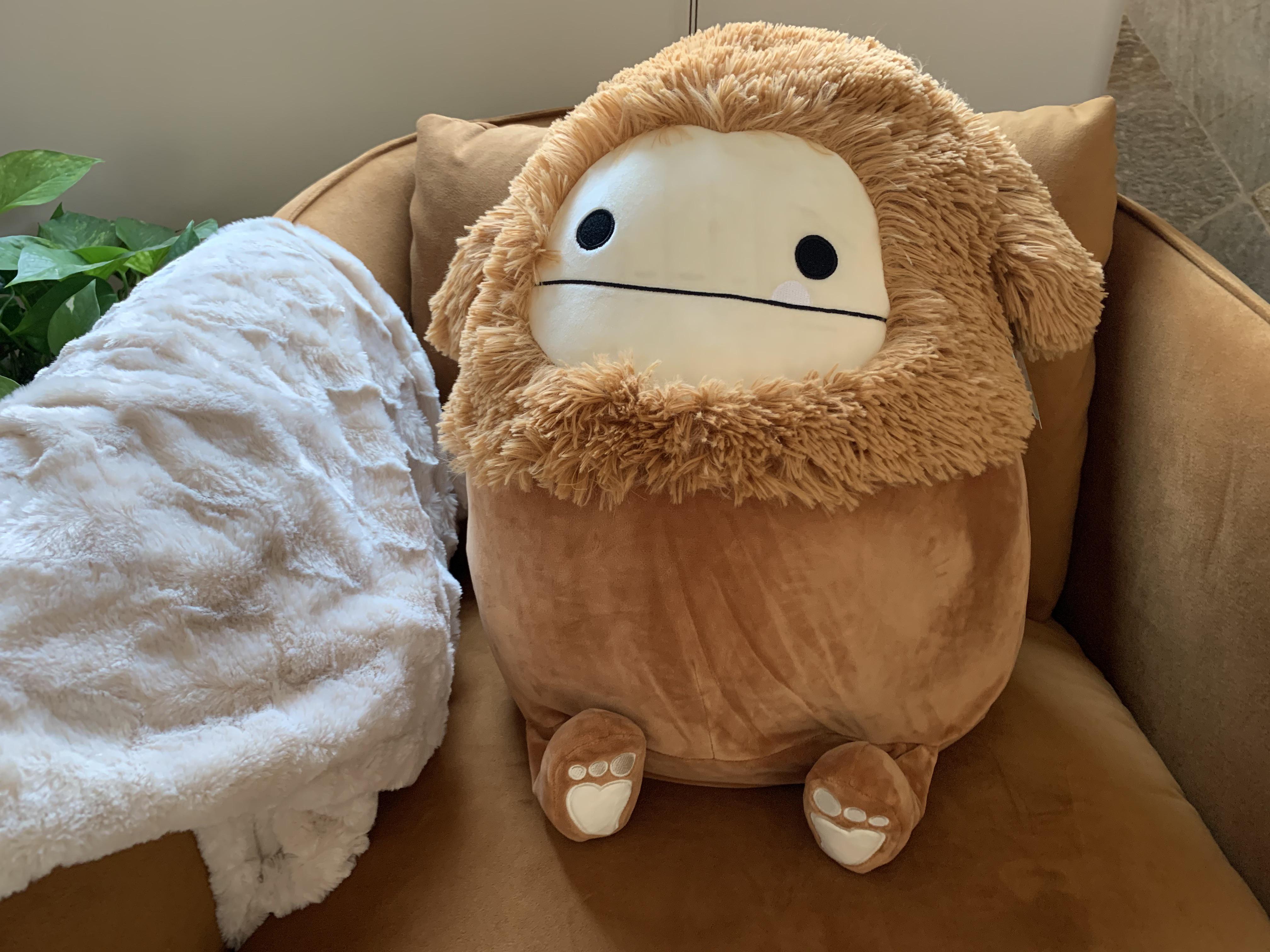 i finally got him!!!!!! 🥺 i finally got my benny boy!!!!!!! | Scrolller