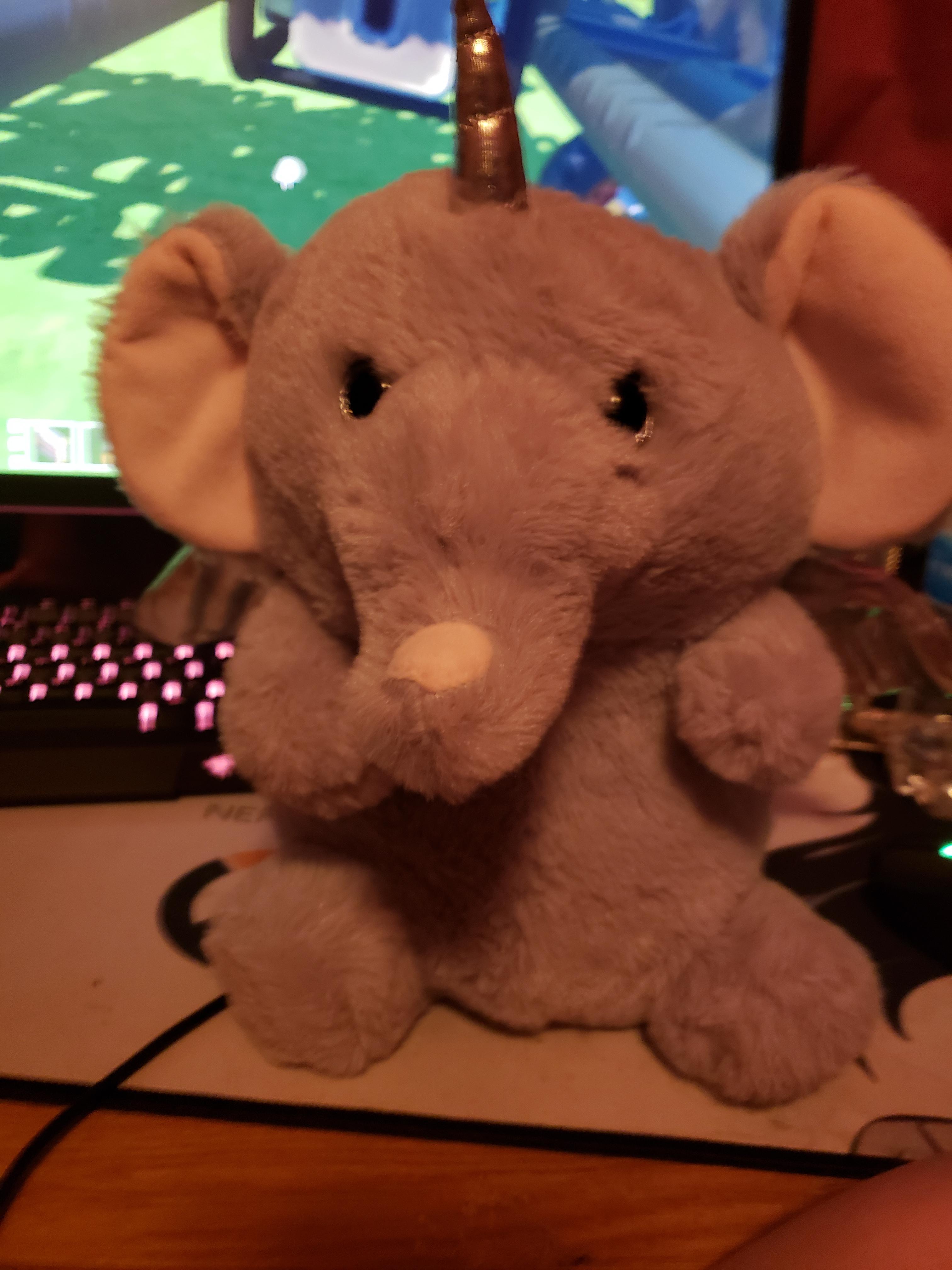 I got a new stuffie today!! | Scrolller