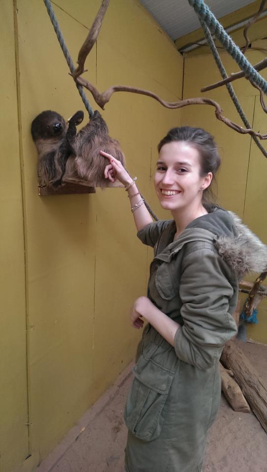 I got to stroke a sloth today!! :O | Scrolller