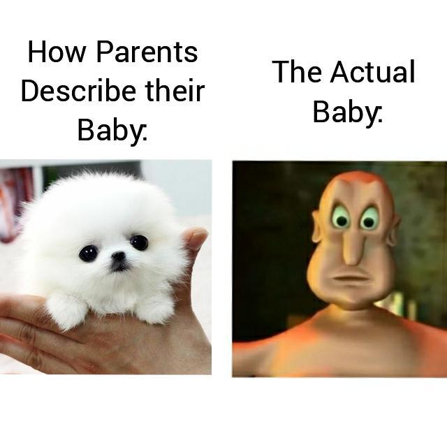 I had high expectations | Scrolller