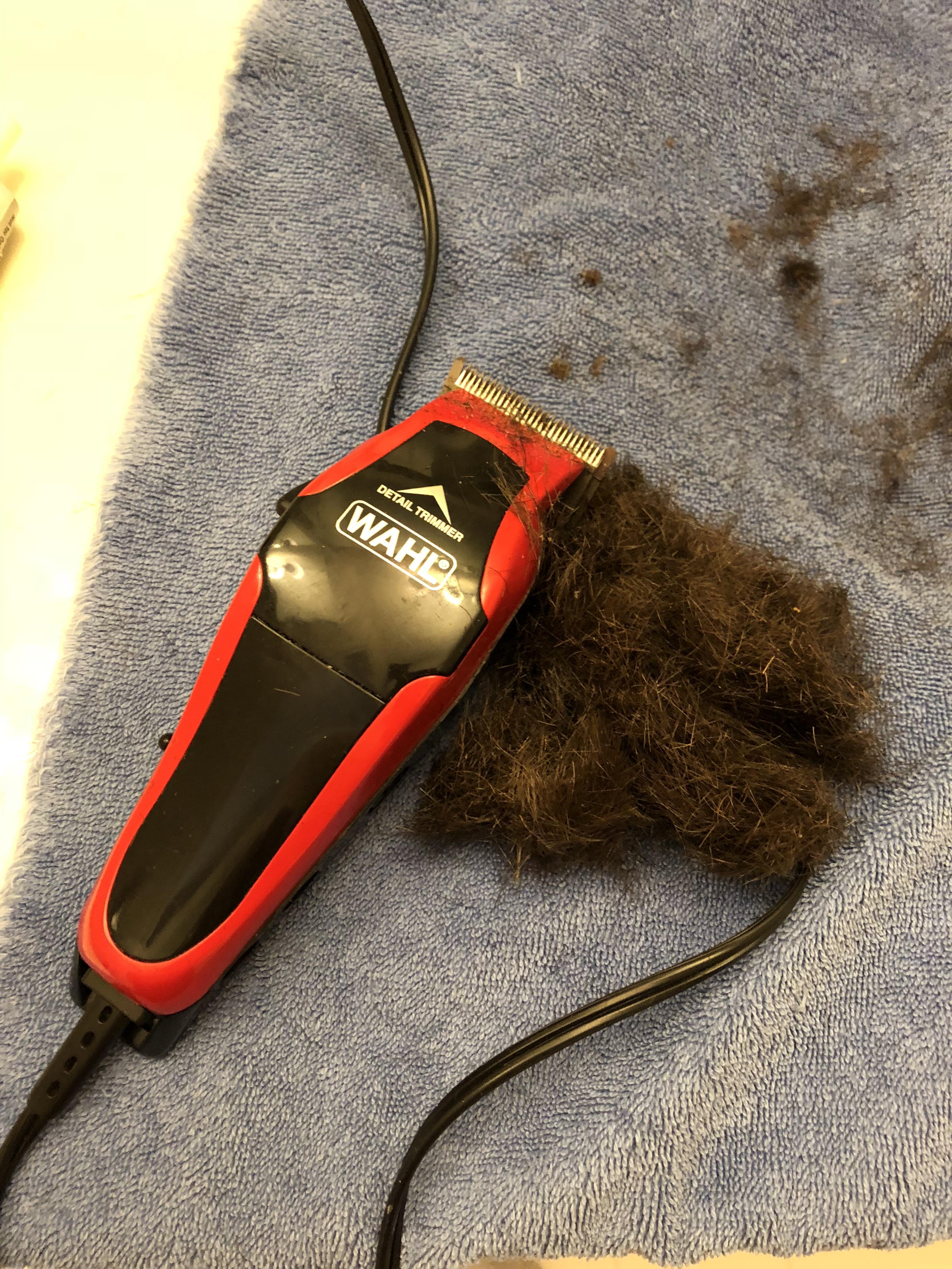 I had no choice | Scrolller