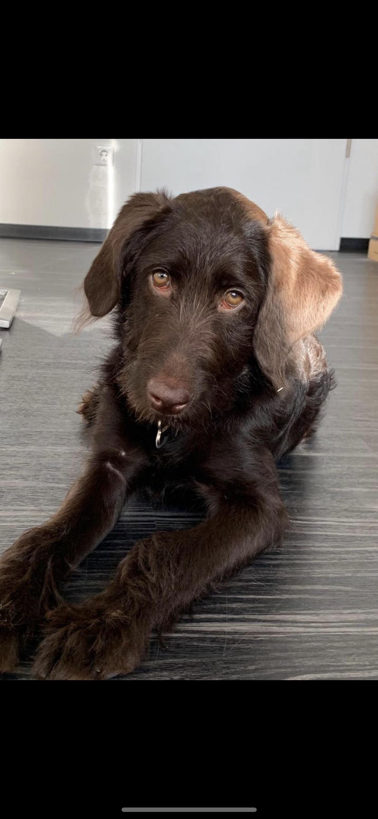 I hate mondays | Scrolller