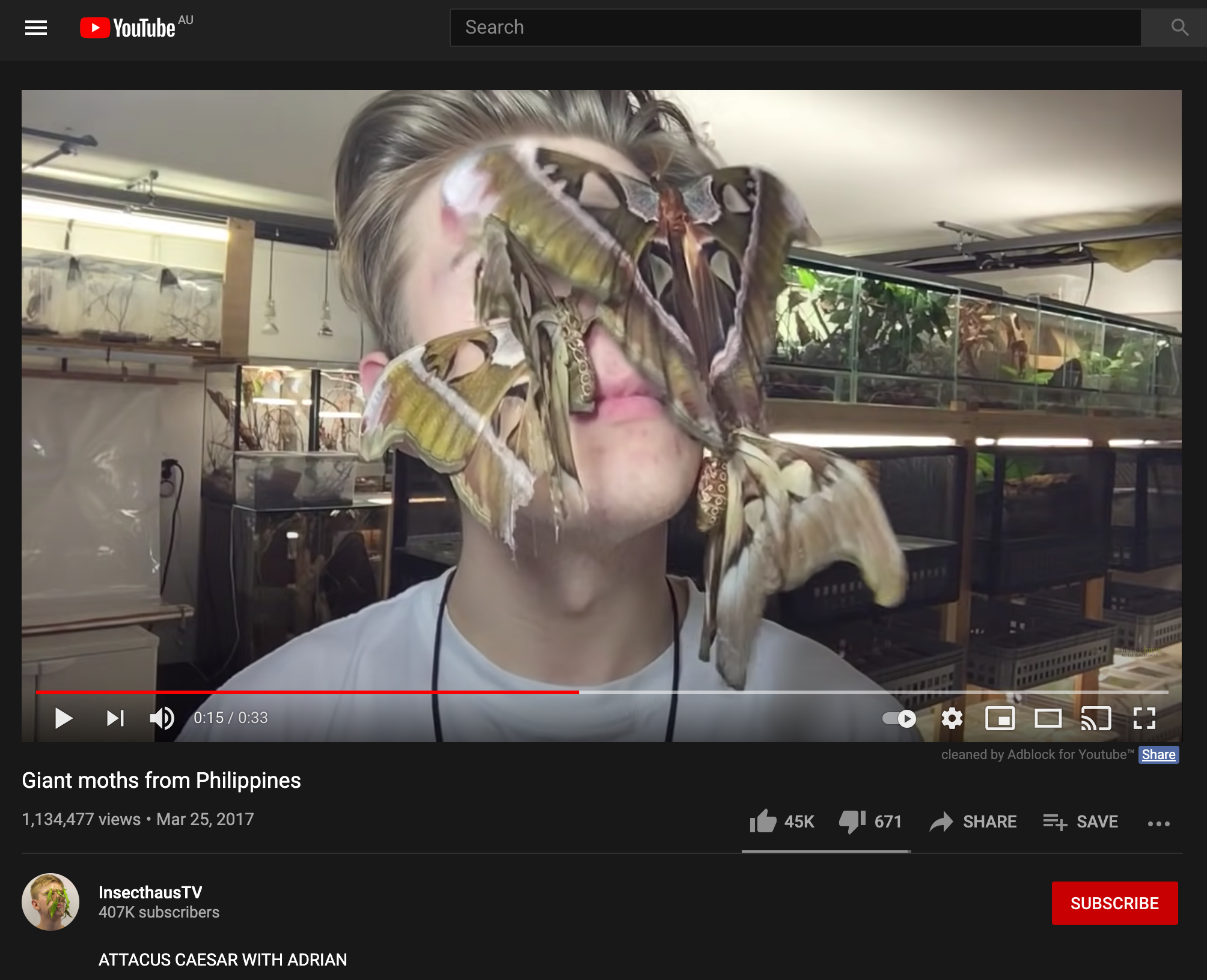 I Hate Moths I Hate This Why Why Why Why Why Scrolller