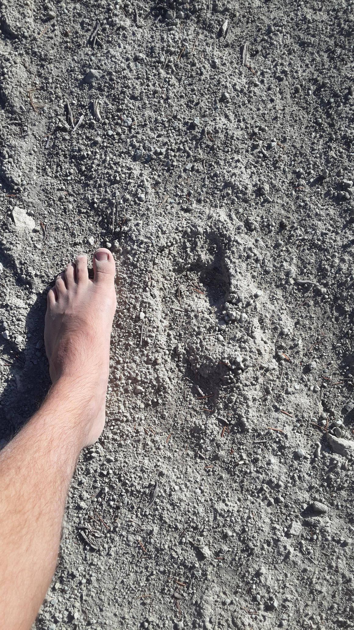 I hike barefoot outside town. Now we wait for the rumors to start... | Scrolller