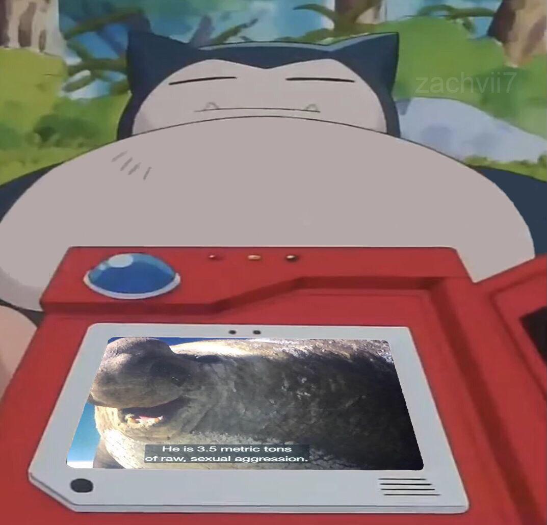 i hope this doesnt get removed under rule one because it is iffy | Scrolller