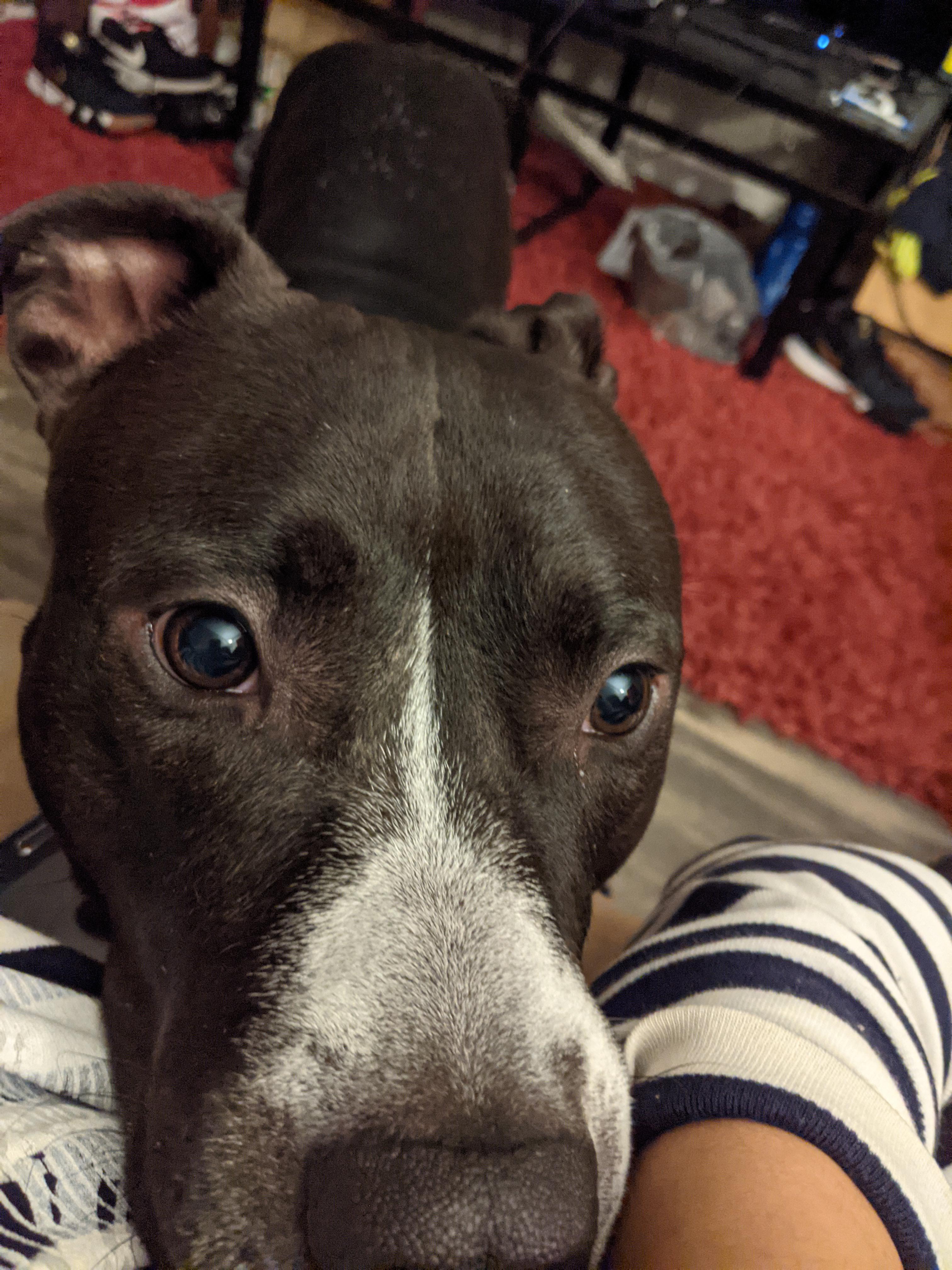 I just love him. | Scrolller