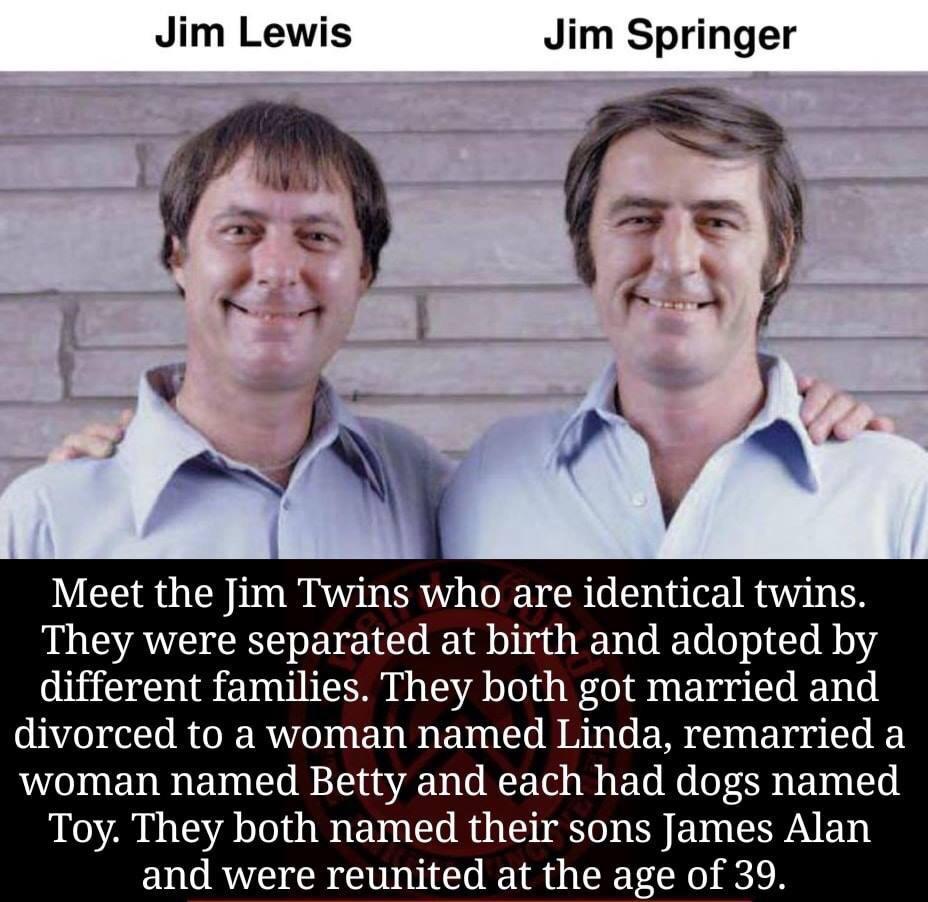 I Know Twins Have Similarities But God Damn Scrolller