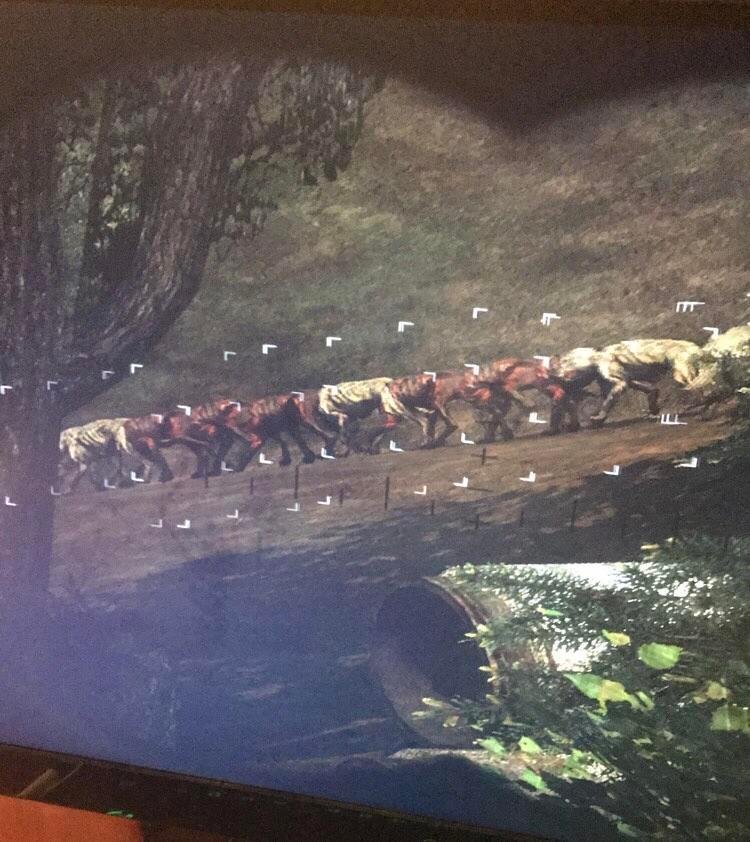 I love the new dog centipede anomaly | Scrolller