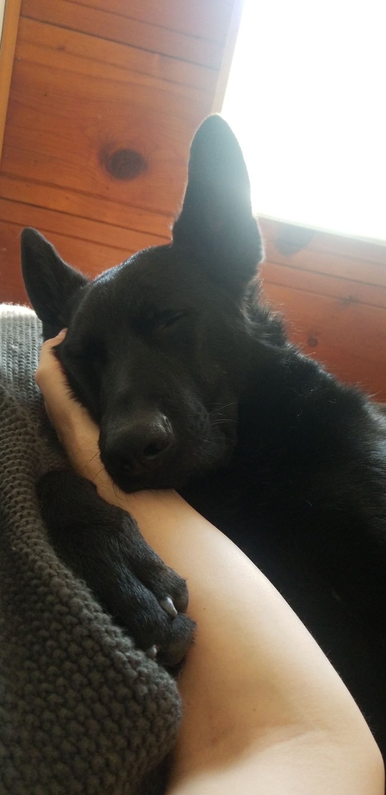 I love the sleepy cuddles | Scrolller