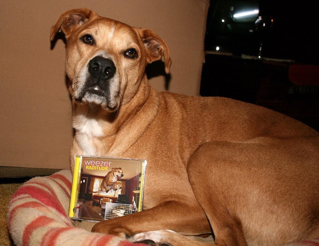 I love this photo. I mean c’mon. | Scrolller