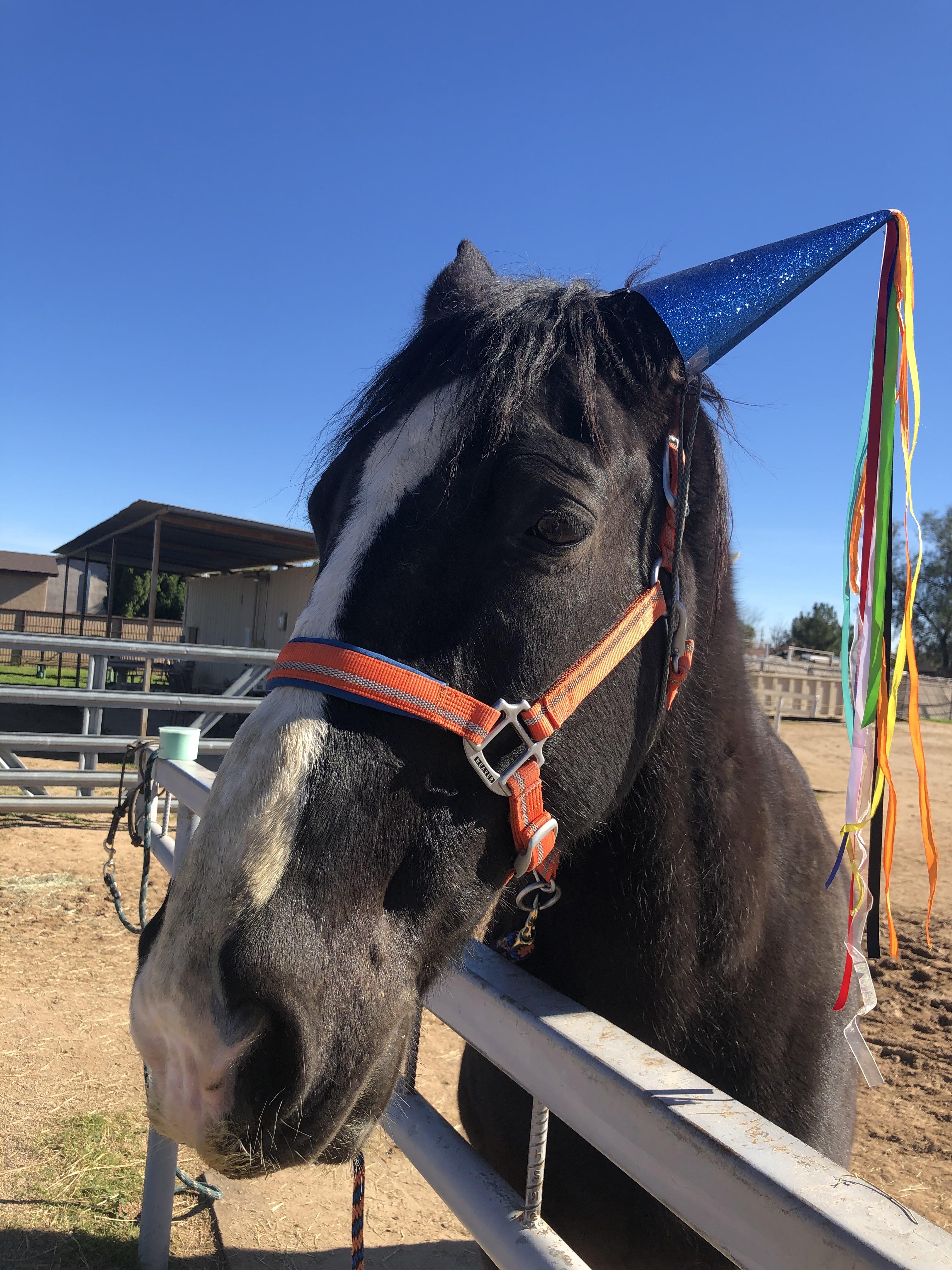 I’m 23 years young today. | Scrolller