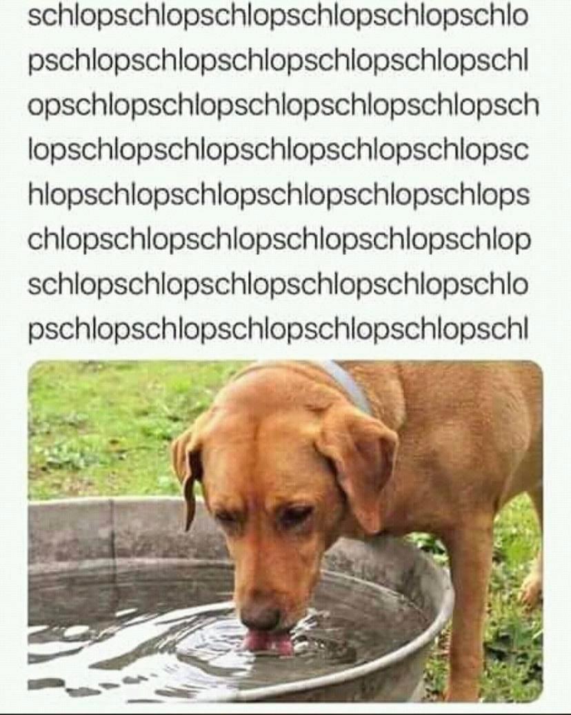 I’m crying | Scrolller