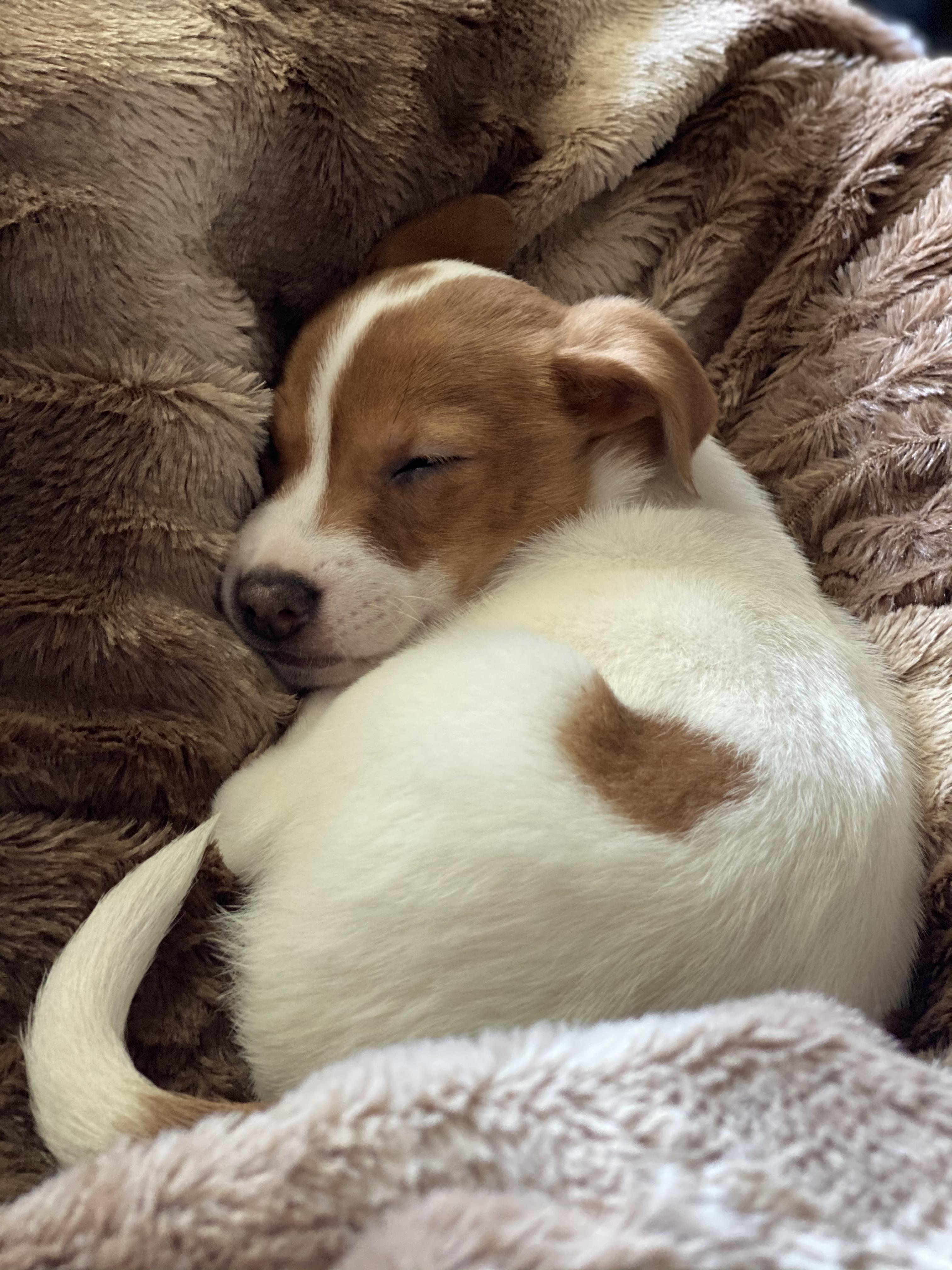 I’m obsessed with my Jack Chi 💕 | Scrolller