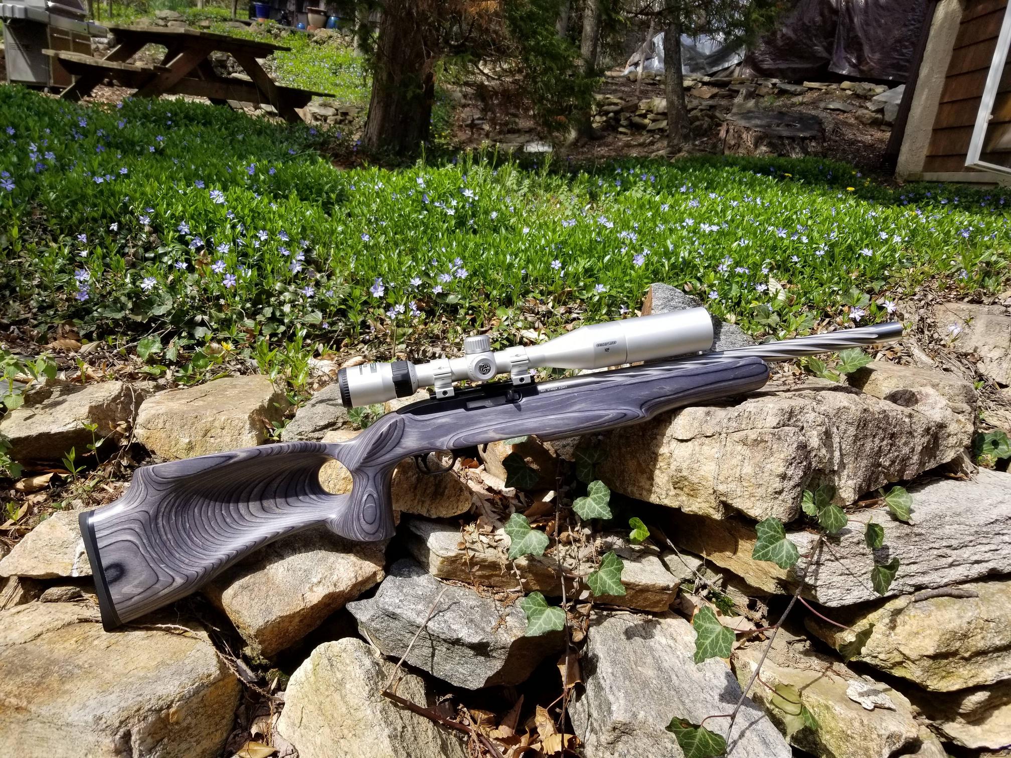 I made some big changes to my first 10/22 | Scrolller