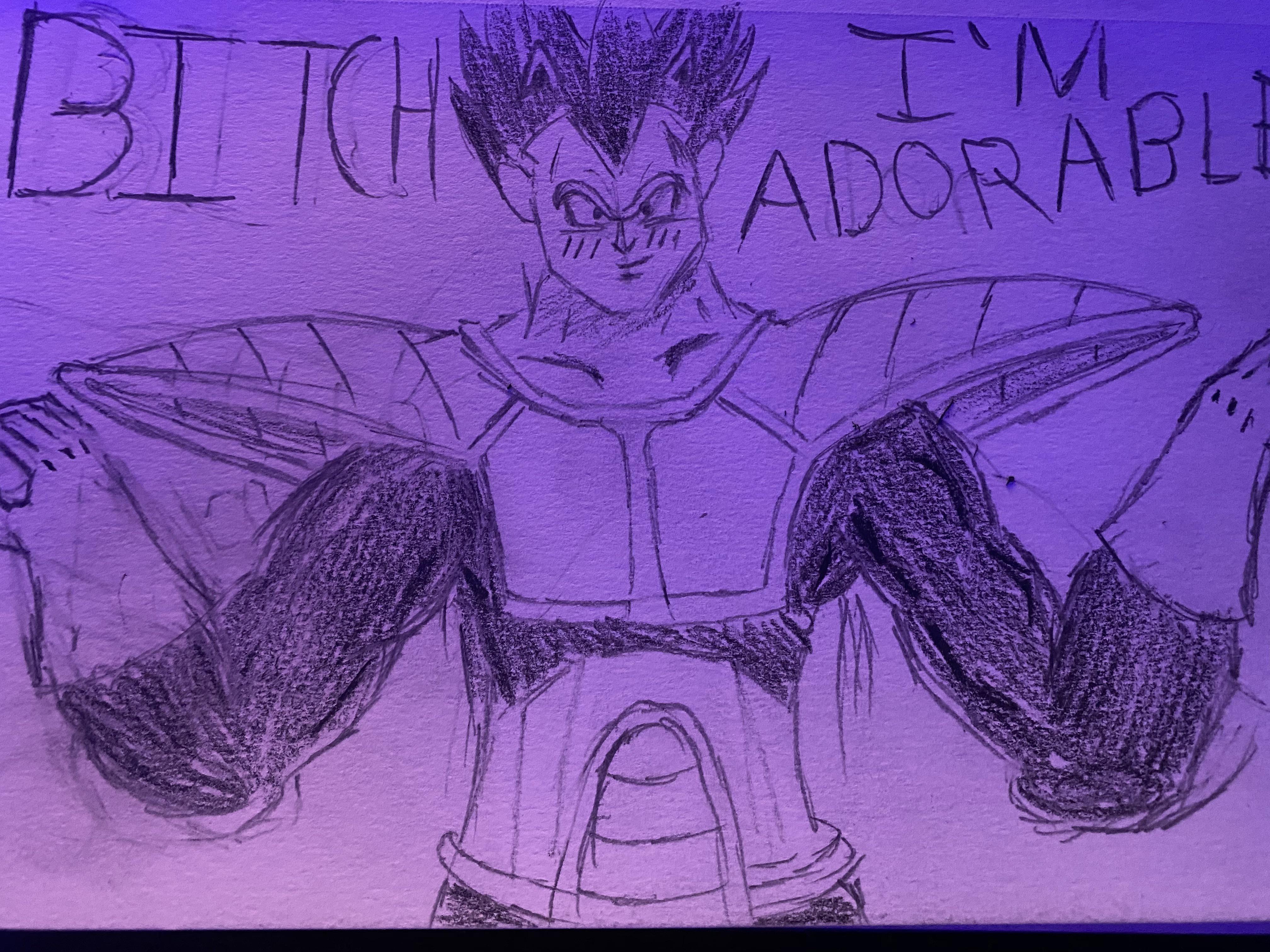 I made some somewhat cursed art of vegeta doing the neko pose, figured I’d share with you ...