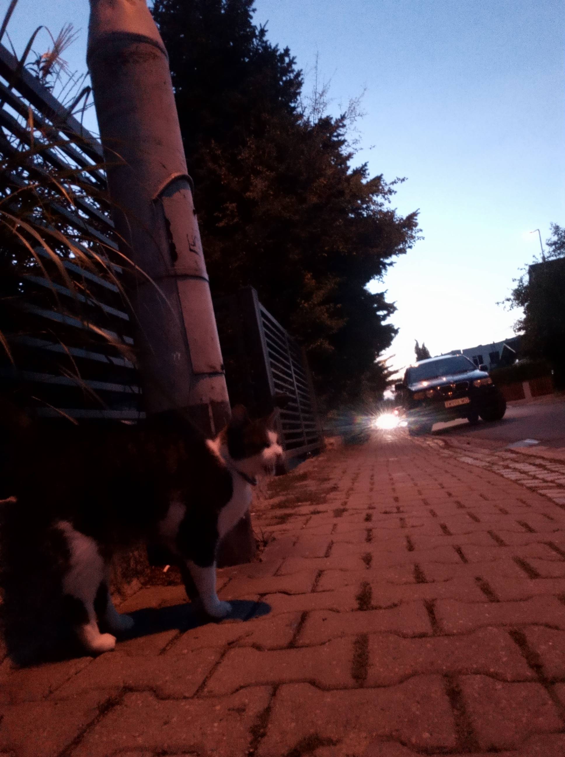 I met a friend | Scrolller