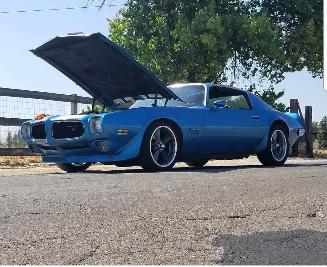 I miss you my beautiful beast | Scrolller