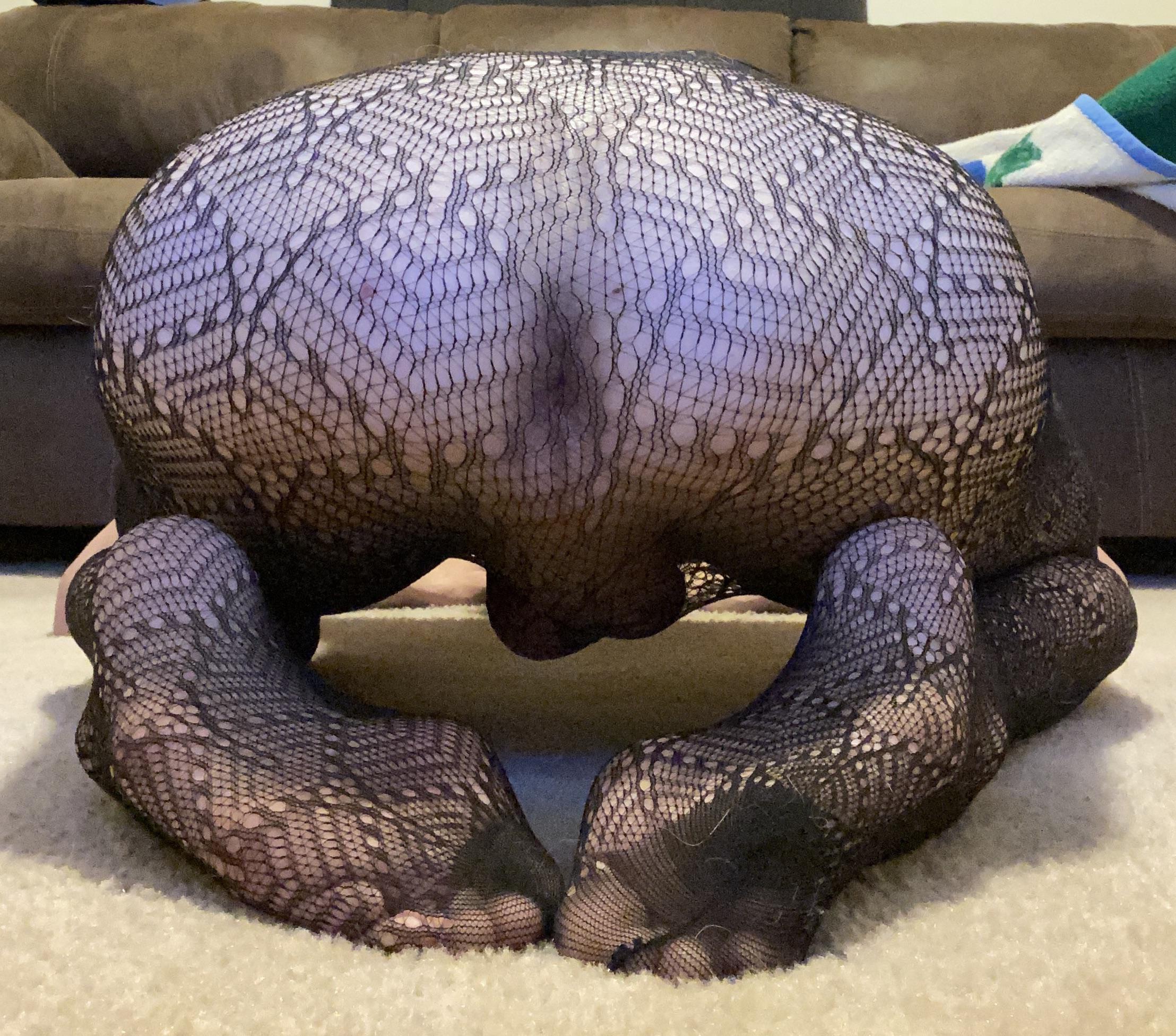 I need BBC | Scrolller