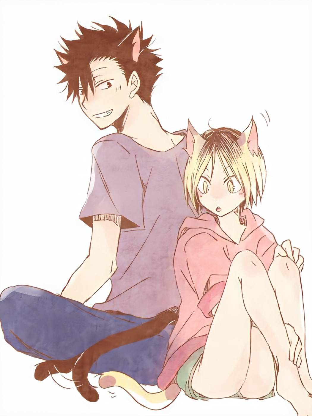 I need me a catboi [Haikyuu!!] | Scrolller