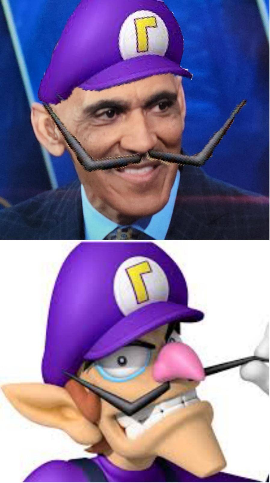 I never knew Waluigi was Tony Dungy | Scrolller