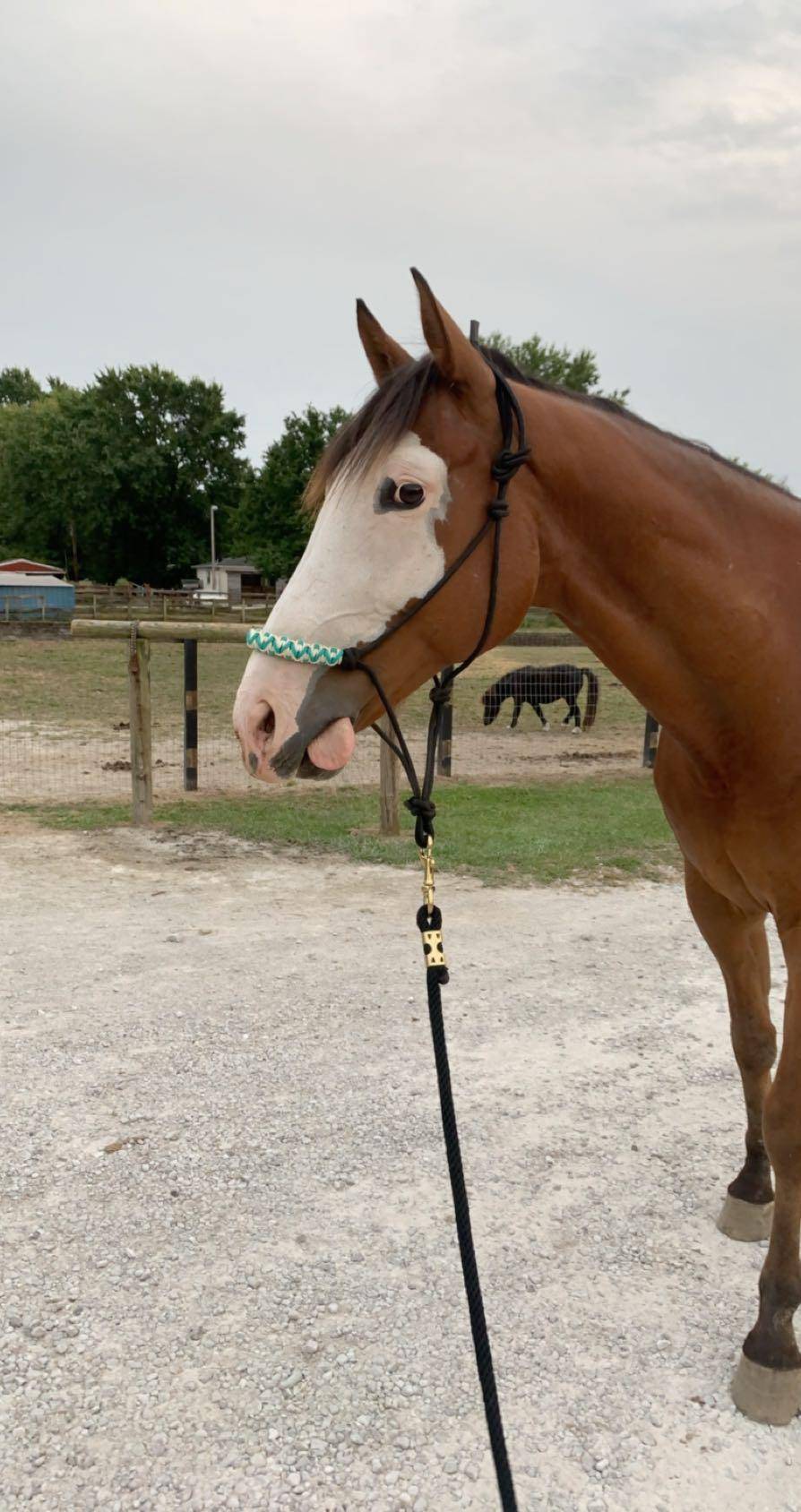 I really just wanted to show off my boy 😂 Gus 💕 | Scrolller