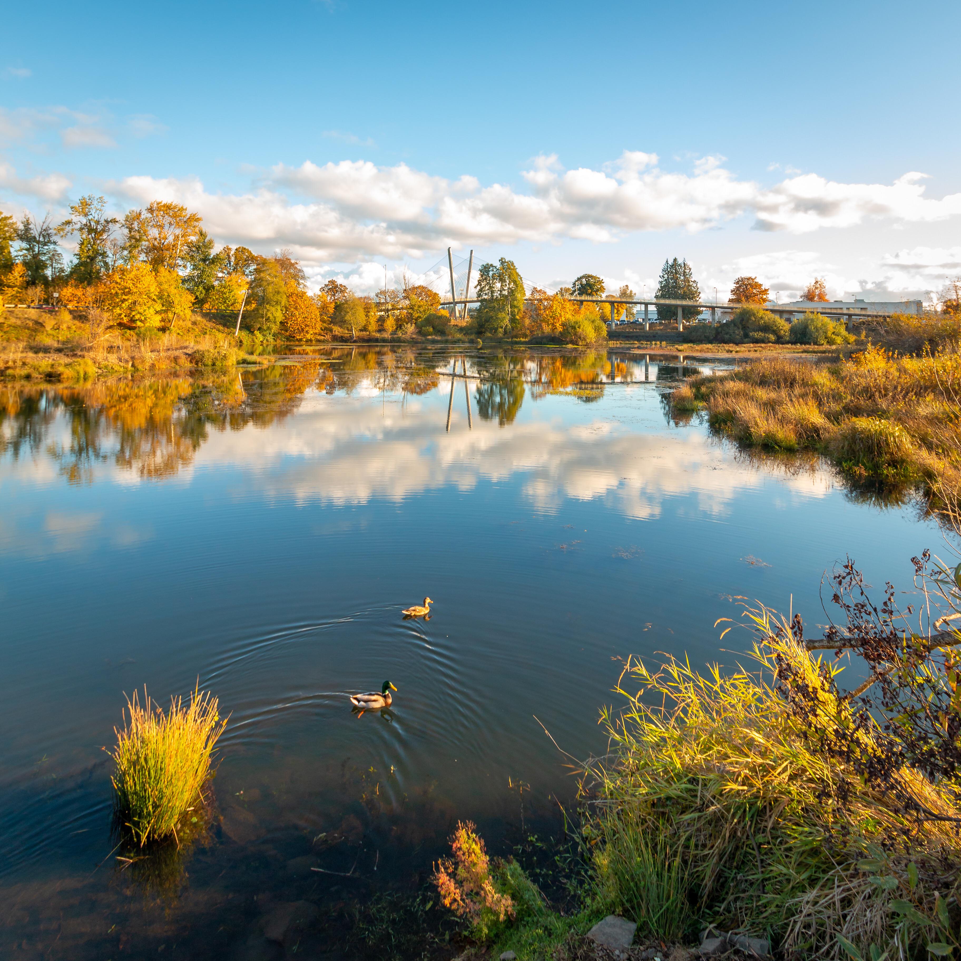 I really like living next to the Delta Ponds | Scrolller