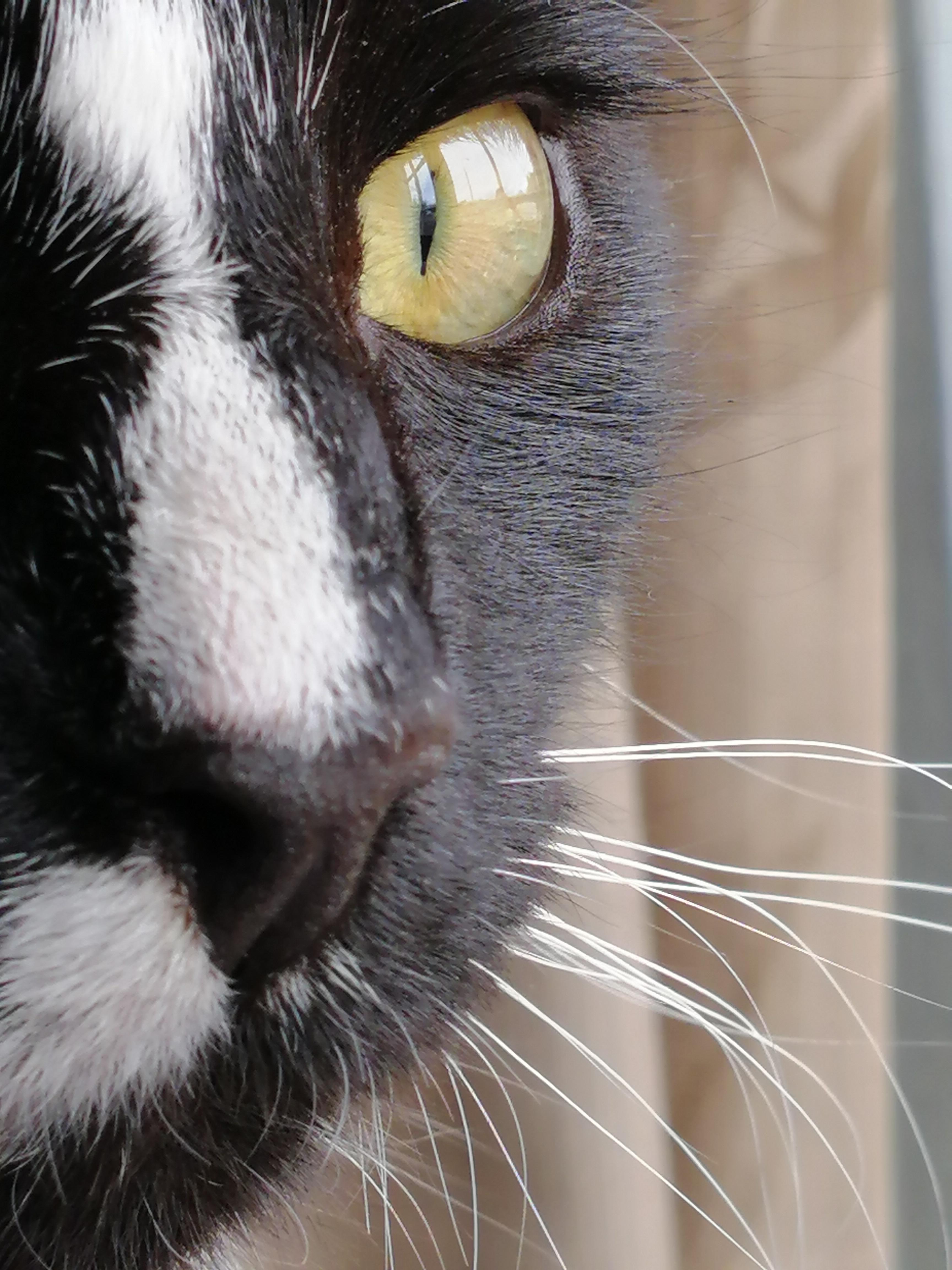 I see burb | Scrolller