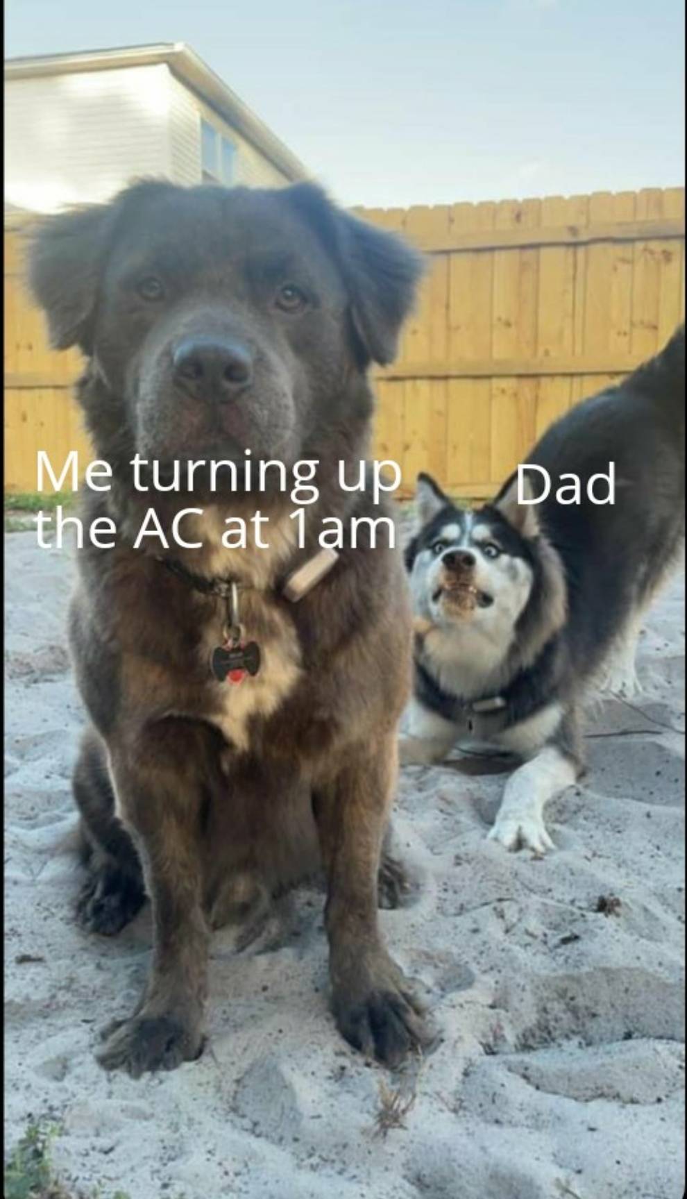 I sense a disturbance in the force | Scrolller