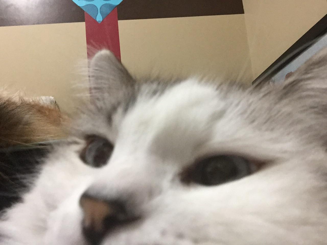 I spy with my 2 eyes | Scrolller