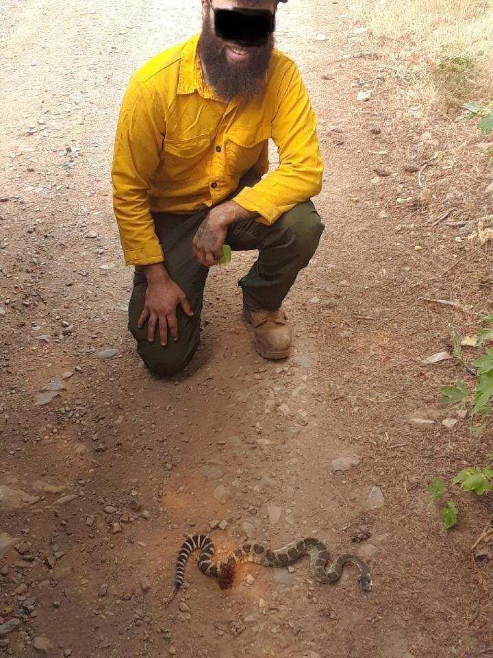 I step on snake | Scrolller