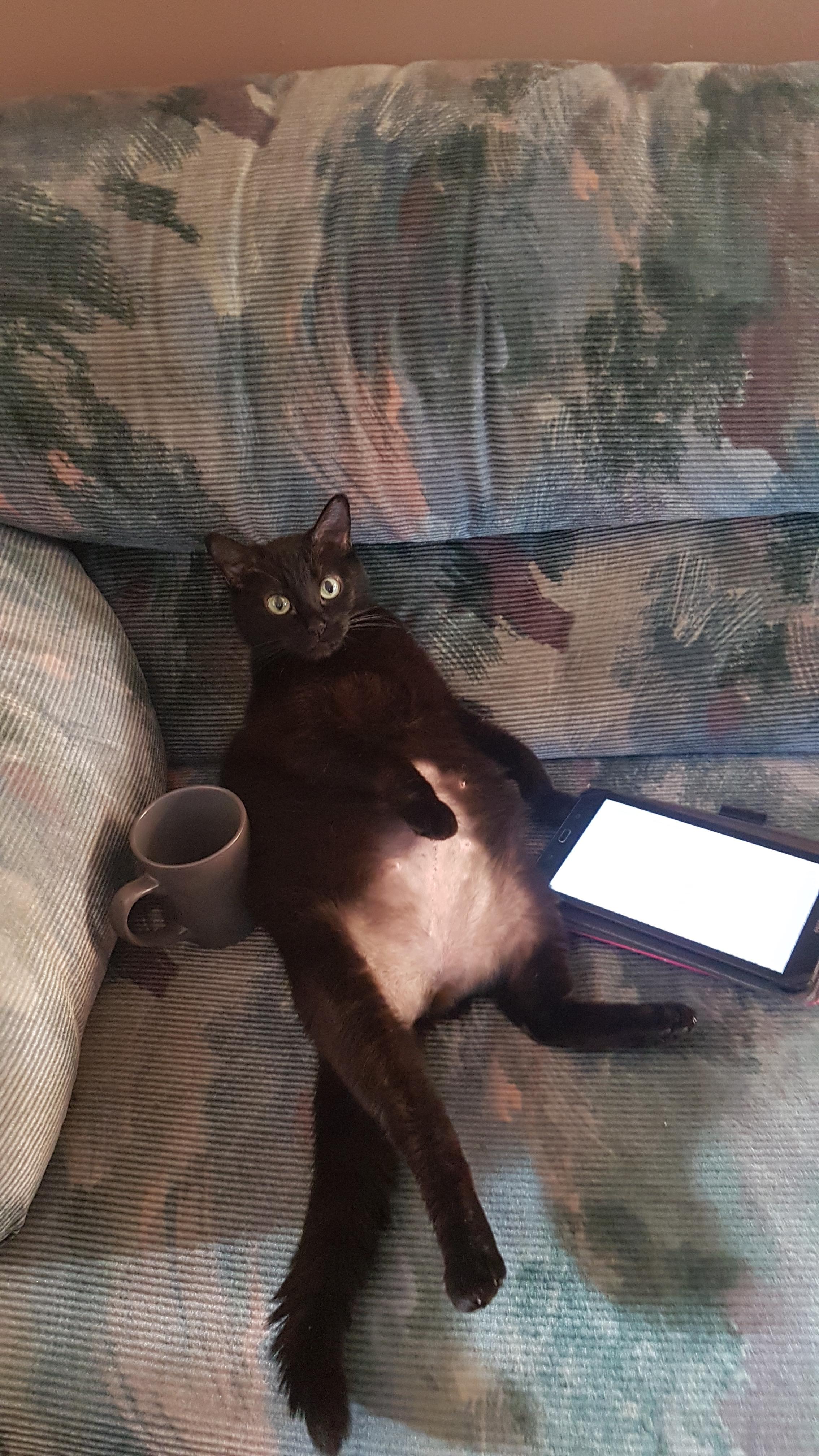 I swear, she's mocking me. | Scrolller