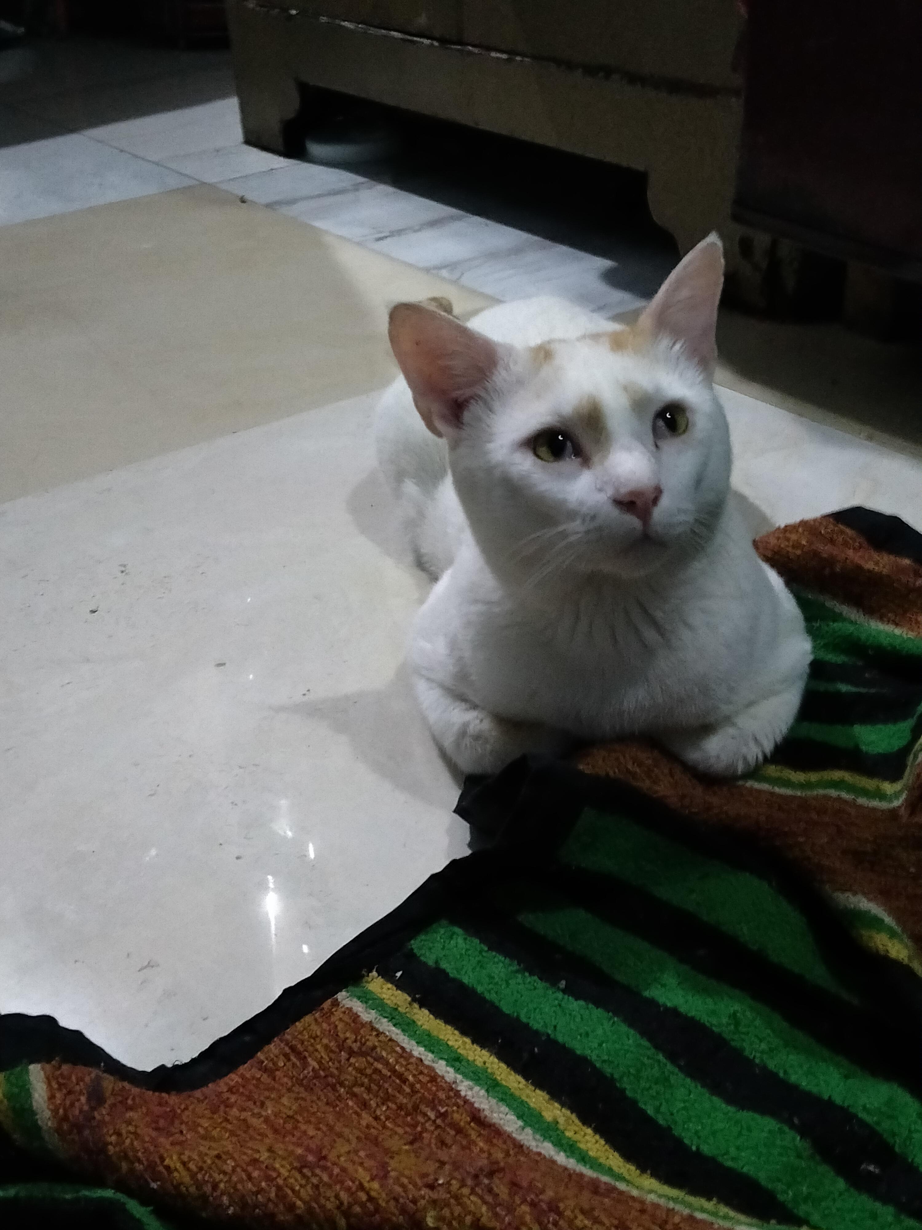 I think he realized the meaning of song "they don't care about us ...