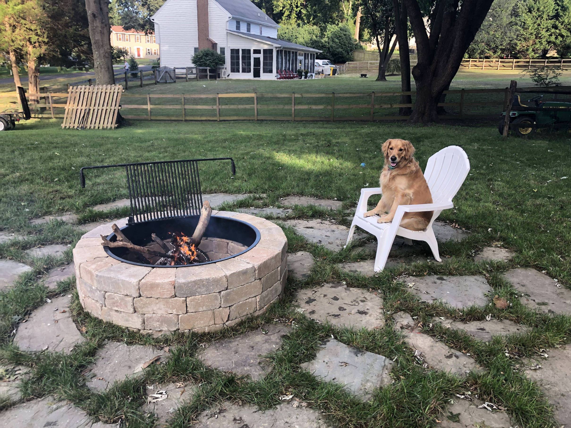 I think she approves of the new landscaping | Scrolller