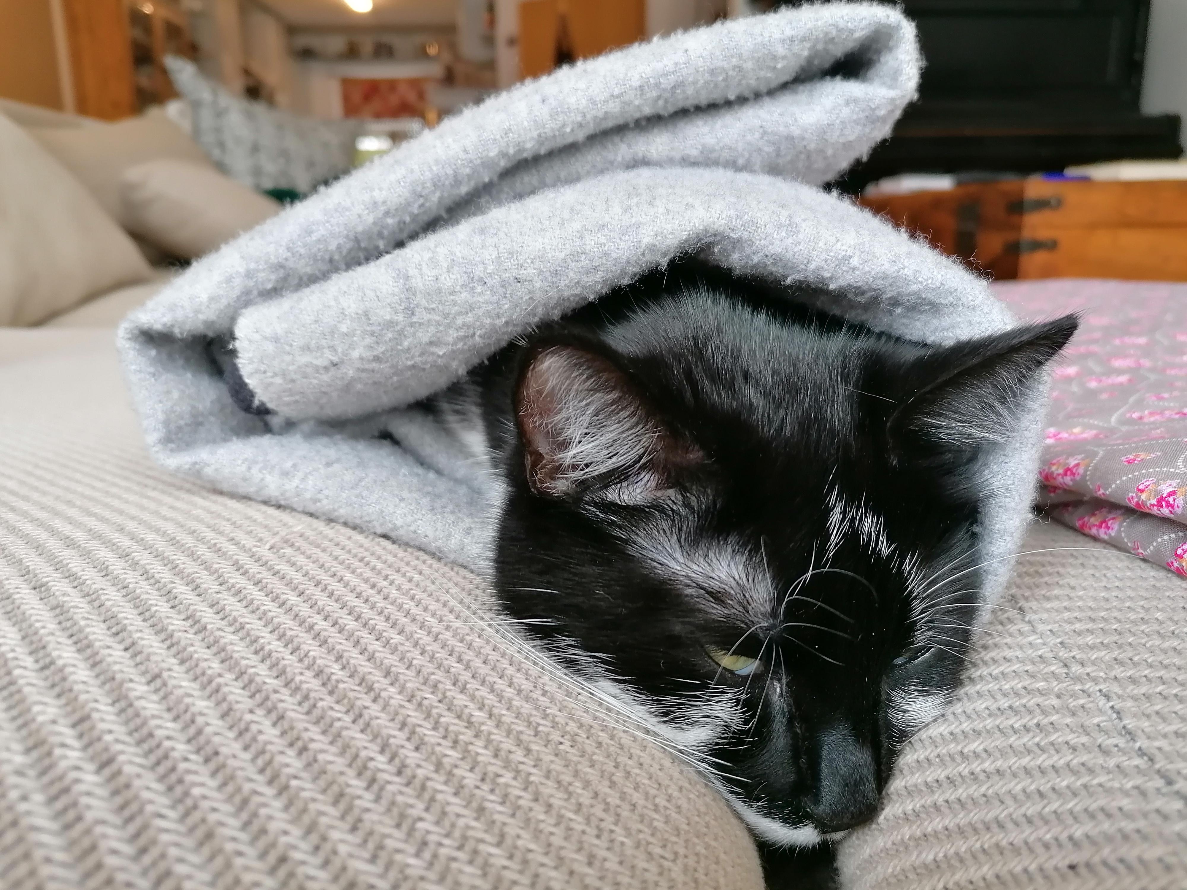 I think she is not amused | Scrolller